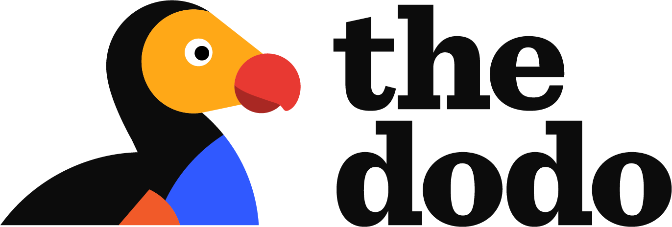 Media and Press | Featured on Network TV | Digital Publications - NYC ...