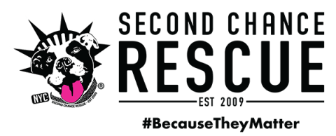 NYC Dog and Cat Rescue | Because They Matter - NYC Second Chance Rescue