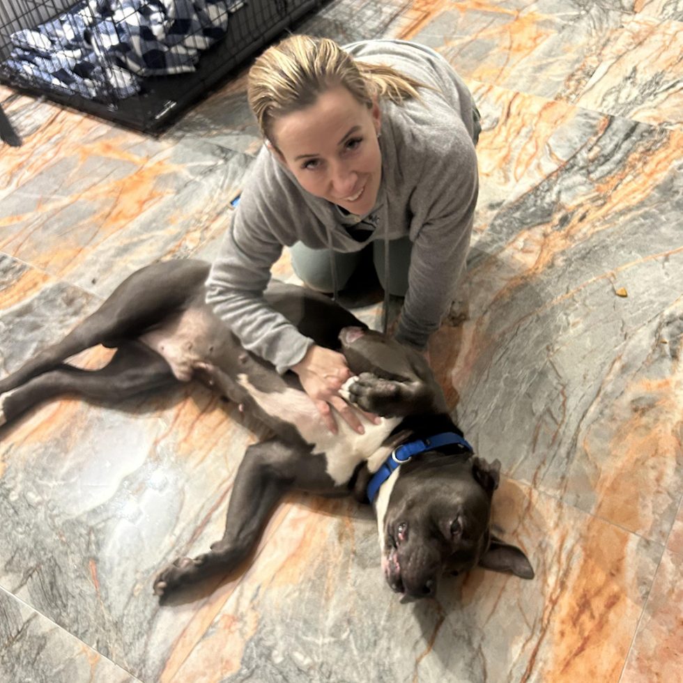 Adoption Center | Long Island City - NYC Second Chance Rescue