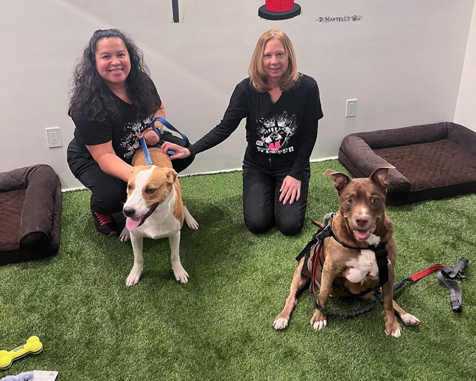 Adoption Center | Long Island City - NYC Second Chance Rescue