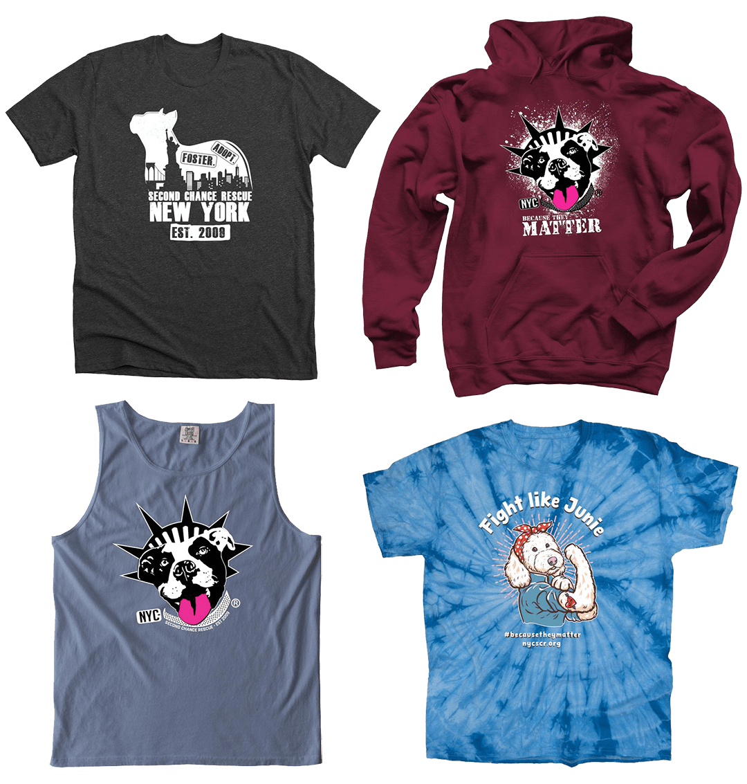 Dog and Cat Animal Rescue | Because They Matter - NYC Second Chance Rescue