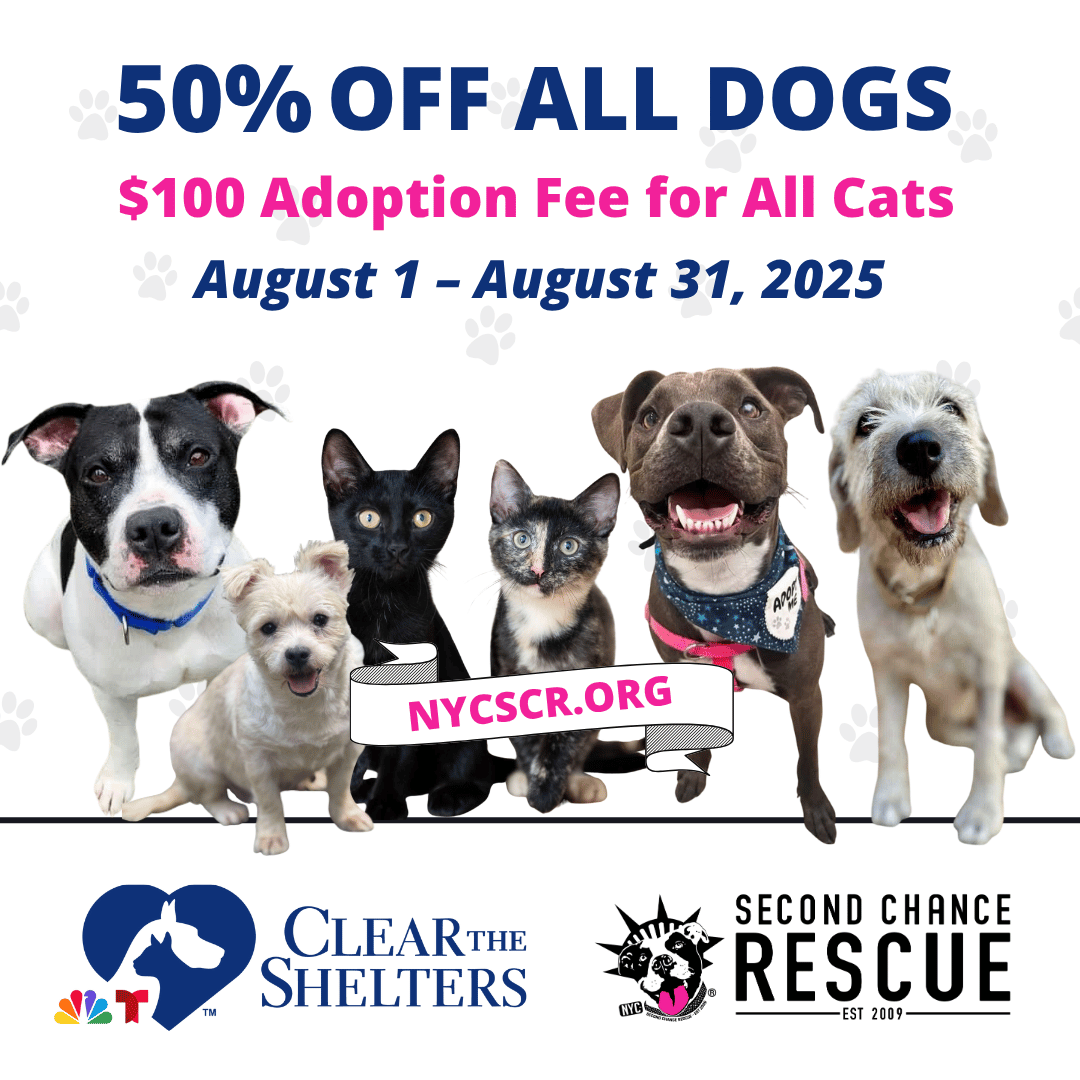 Adoptable Dogs and Cats | Because They Matter - NYC Second Chance Rescue