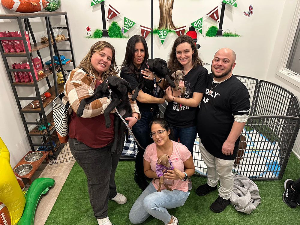 Adoption Center in Long Island City, NY | Adopt or Foster - NYC Second ...