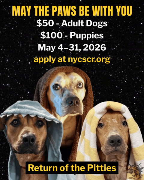 Upcoming Adoption Events - NYC Second Chance Rescue
